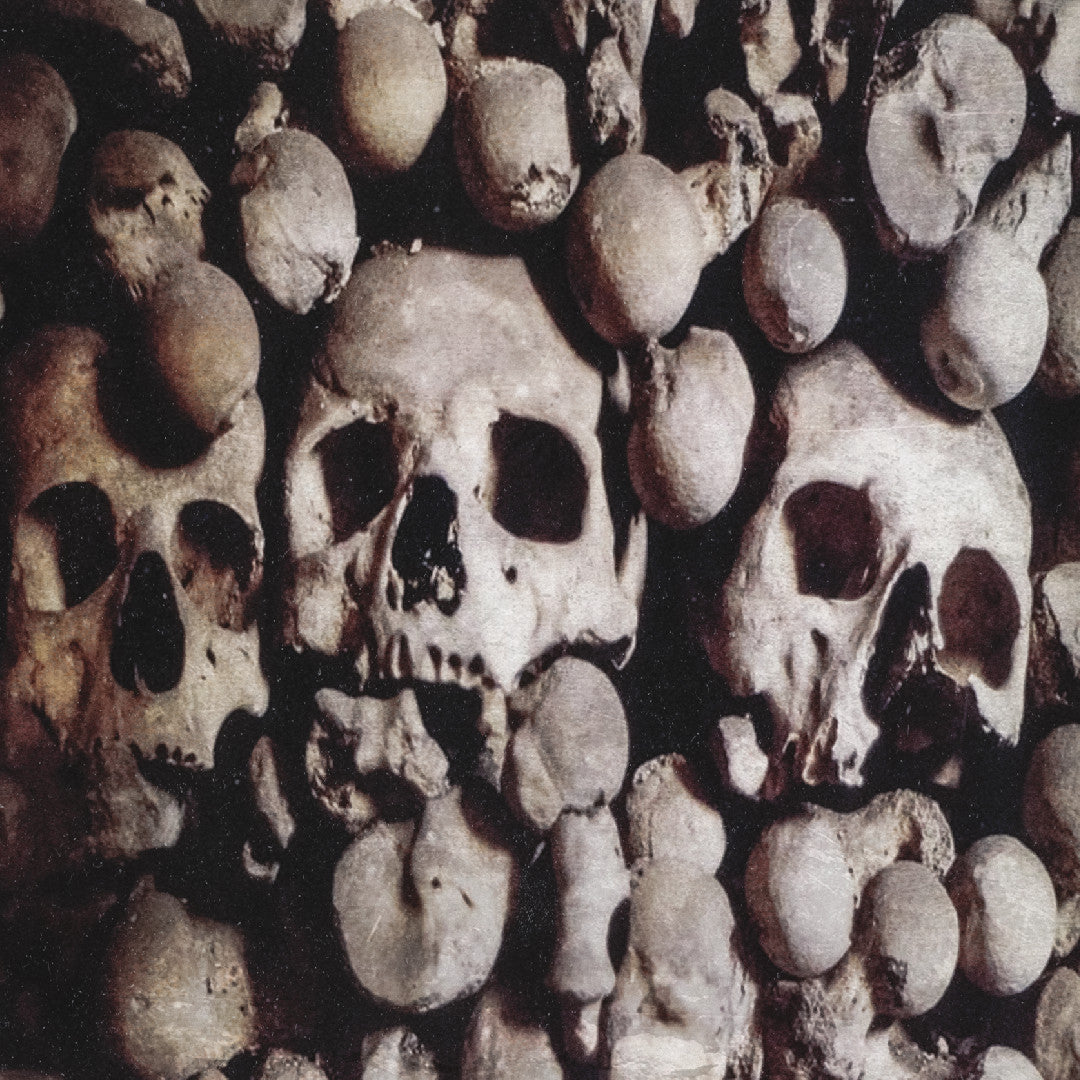 The Moon Lay Hidden Beneath A Cloud – A New Soldier Follows The Path O ...